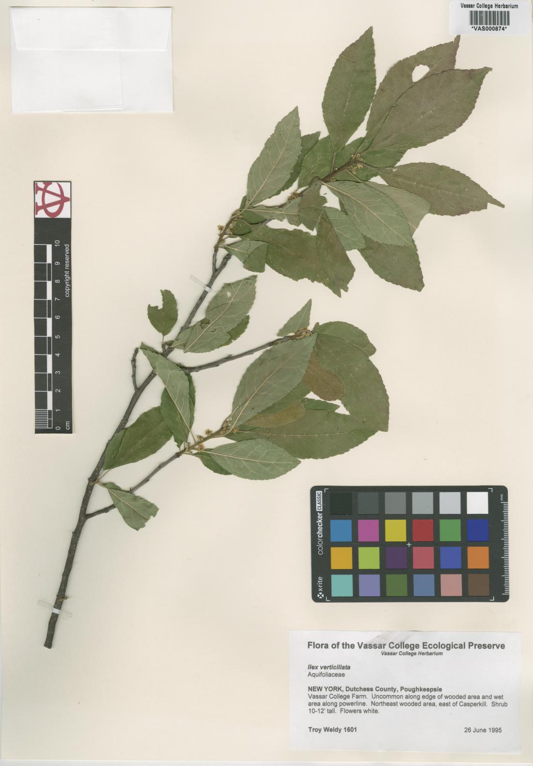 6627-Service File.jpg | Vassar College Digital Library