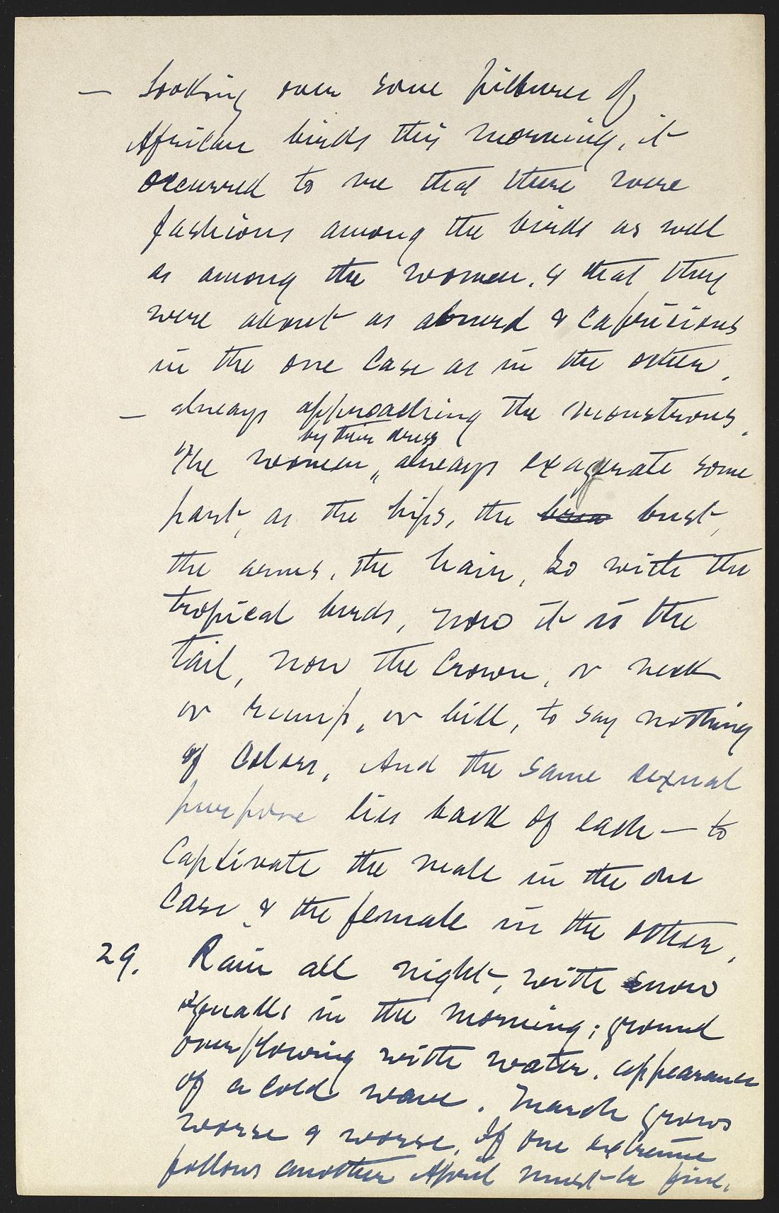 17089-Service File.jpg | Vassar College Digital Library