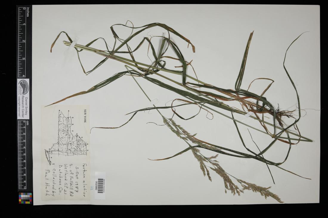 87009-Service File.jpg | Vassar College Digital Library