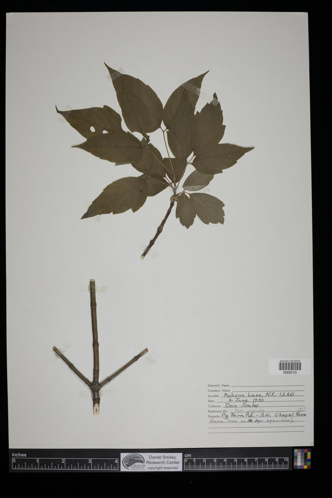 89734-Service File.jpg | Vassar College Digital Library