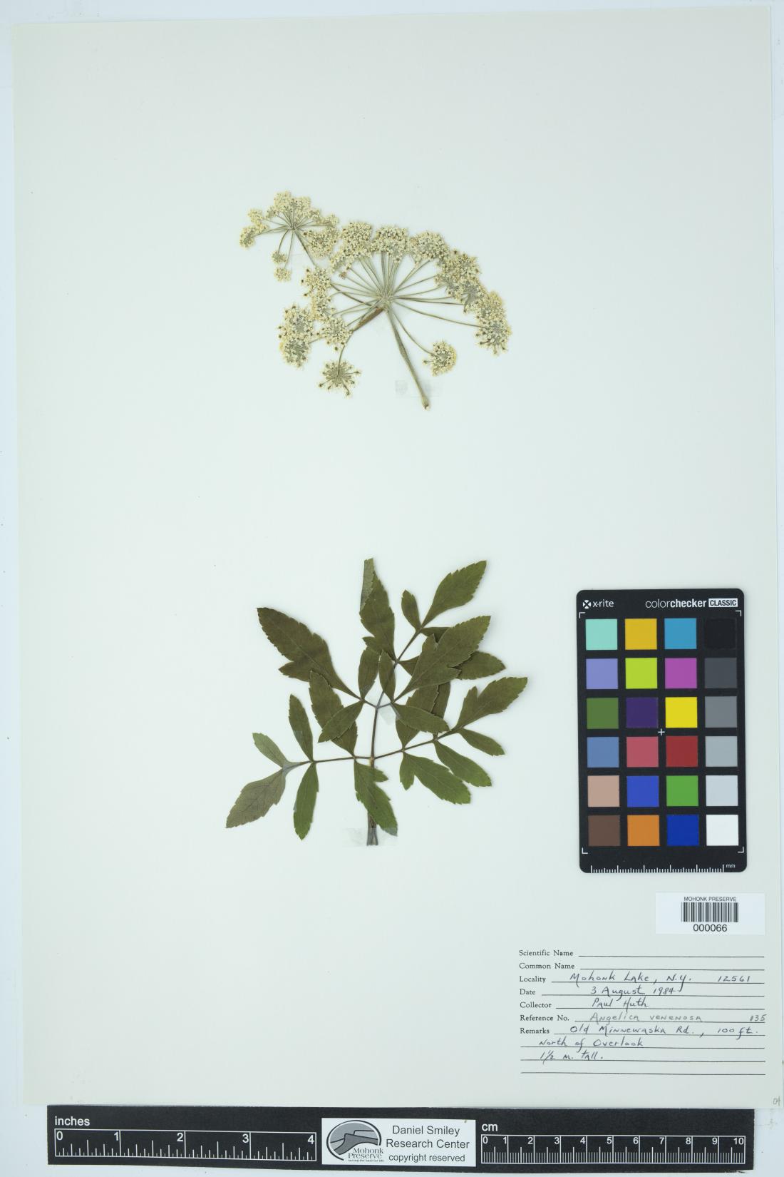 89765-Service File.jpg | Vassar College Digital Library