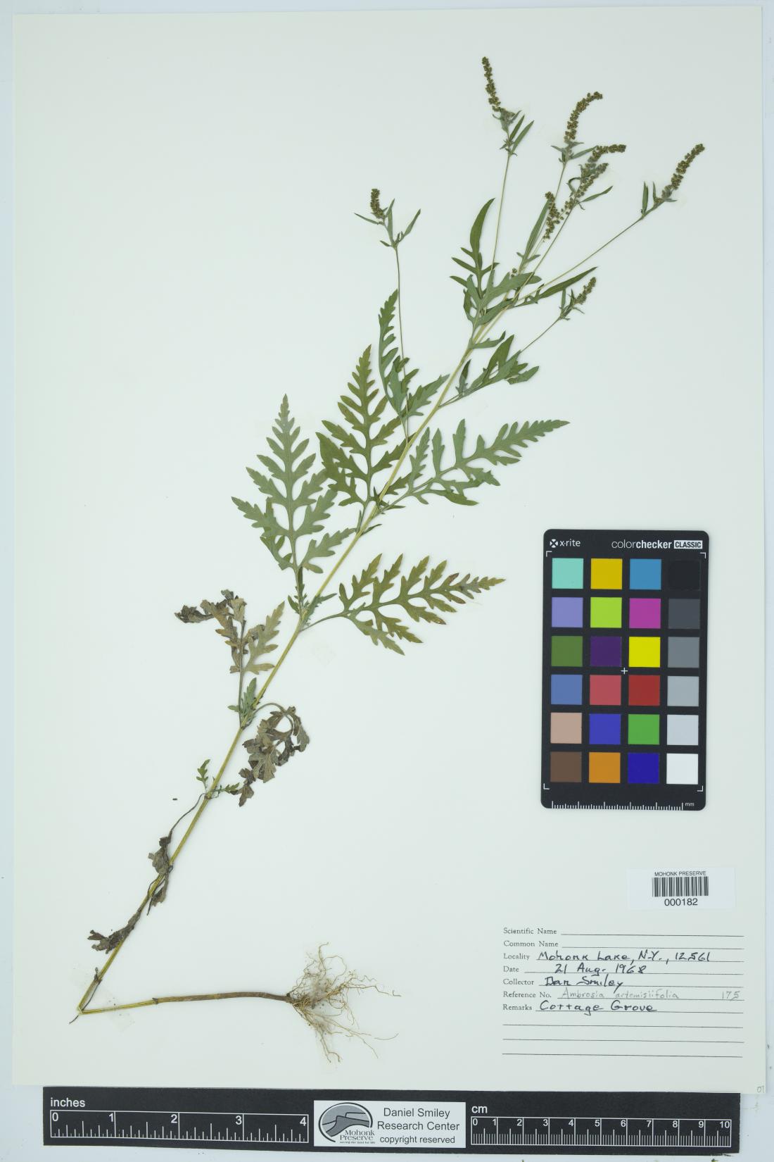 91833-Service File.jpg | Vassar College Digital Library